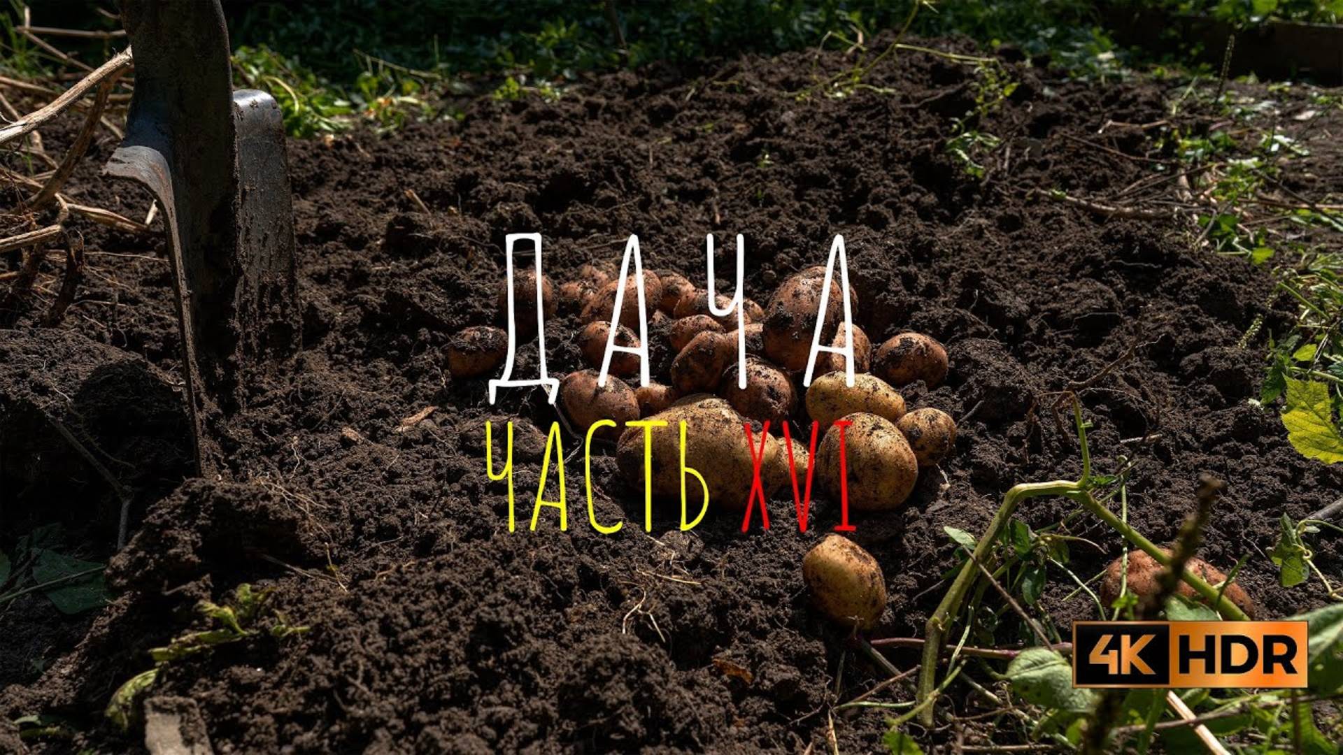 ДАЧА / ЧАСТЬ XVI / СБОР УРОЖАЯ.КРАЖА НА УЧАСТКЕ. КУПИЛ ЗАБРОШЕННЫЙ ДАЧНЫЙ УЧАСТОК. КУПИЛ ДАЧУ.