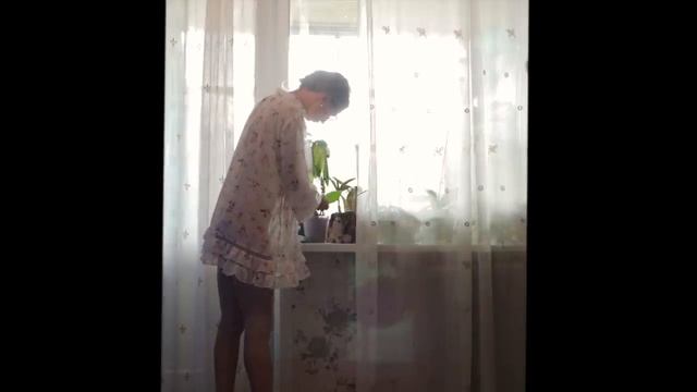 Прекрасный вид из окна