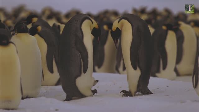 Этот мир удивителен и восхитителен!!!