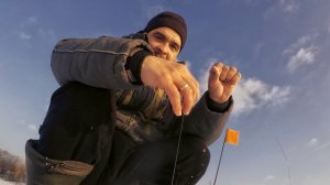Безумный клёв на Немецких прудах
