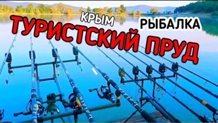 Пруд туристский рыбалка. Орлиное рыбалка. Ловля карпа в Крыму. Рыбалка.