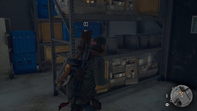 2025 days gone # 29