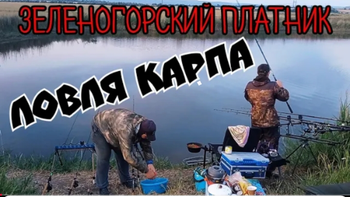 Зеленогорск рыбалка. Ловля карпа в Крыму. Рыбалка.
