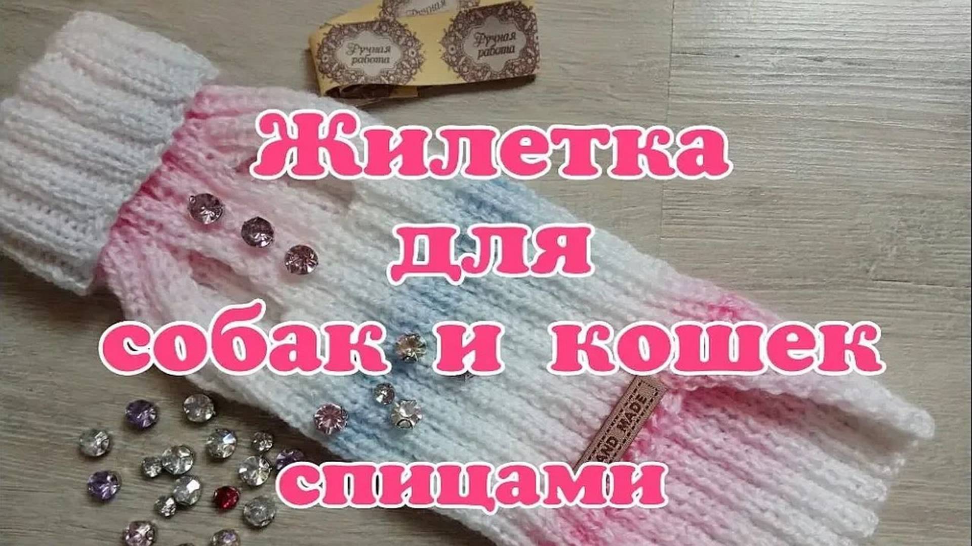 Жилетка спицами для собак и кошек