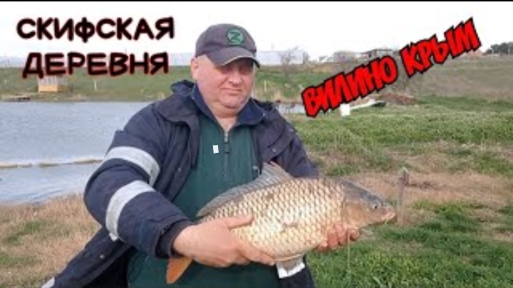 Вилино рыбалка. Скифская деревня рыбалка. Рыбалка. Карпфишинг.