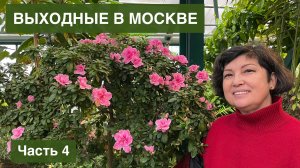 ВЫХОДНЫЕ В МОСКВЕ! Часть 4. Оранжереи "Аптекарского огорода" и наш легендарный отель "Космос"