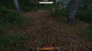 Как получить кость дьявольская голова в Kingdom come deliverance 2? 2 СПОСОБА!