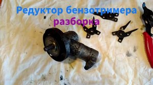 Разборка редуктора бензотримера