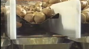 мультиголовка овощная