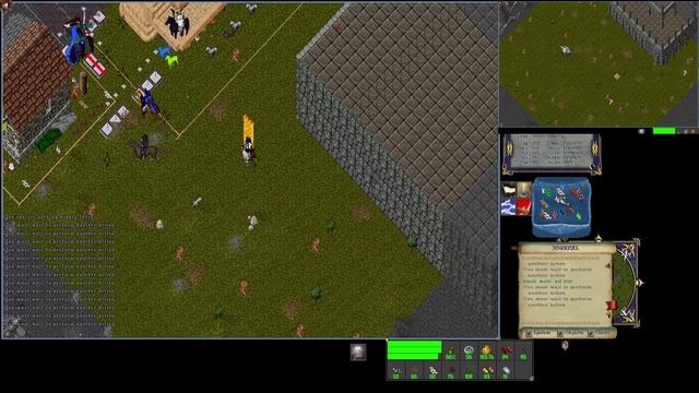 07.02.2025 PVP ABYSS ULTIMA ONLINE