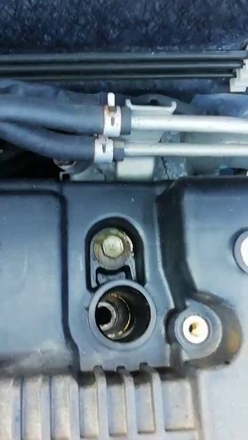 VID-20250128-WA0003
