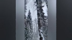 Зимняя природа Междуреченска