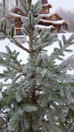 Февраль