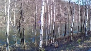 Осень