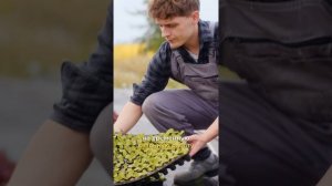 Как избежать суда со своими сотрудниками?