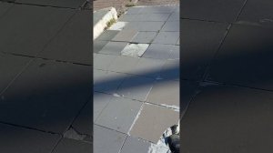 1000137455.mp4