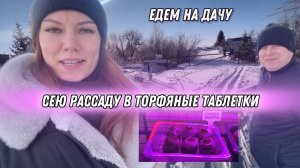 Сею первую рассаду в торфяные таблетки из ВБ после поездки на зимнюю дачу 🏠Едем на дачу.