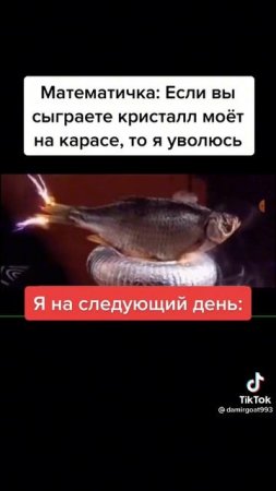 карась пердит
