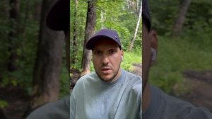 Процесс усвоения еды