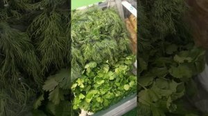 17.02.2025 АгроКазань