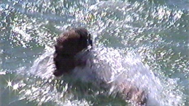 69-dima-nyrau-770x3000_150kk-50s-2ms