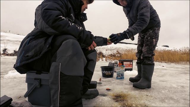 Приехали за живцом, но поймали не то. Шитик в деле.