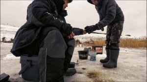 Приехали за живцом, но поймали не то. Шитик в деле.