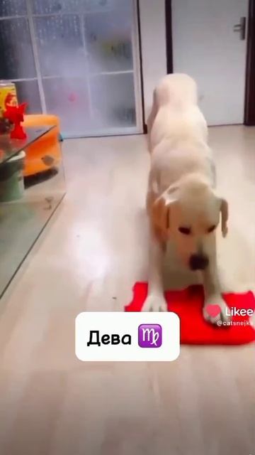 видео не моё а автора не знаю