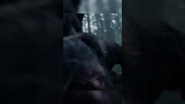 The Revenant || Fight with Bear 🔥🔥