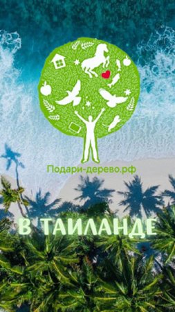🌴🌍 Подари-Дерево.рф расширяет горизонты! 🌴🌍