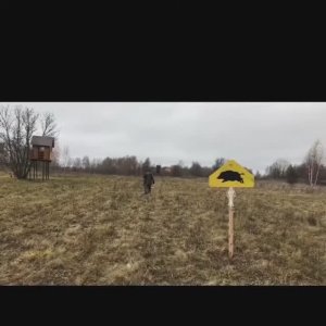 Автоматическая кормушка для охот хозяйств
