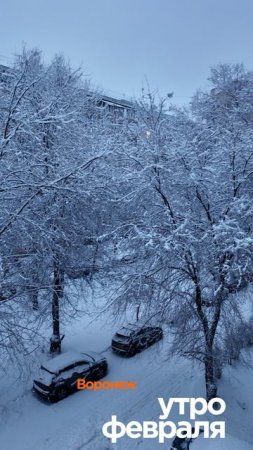 Утро февраля, Воронеж  #shorts