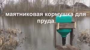 Маятниковая кормушка рефлекс для водоема