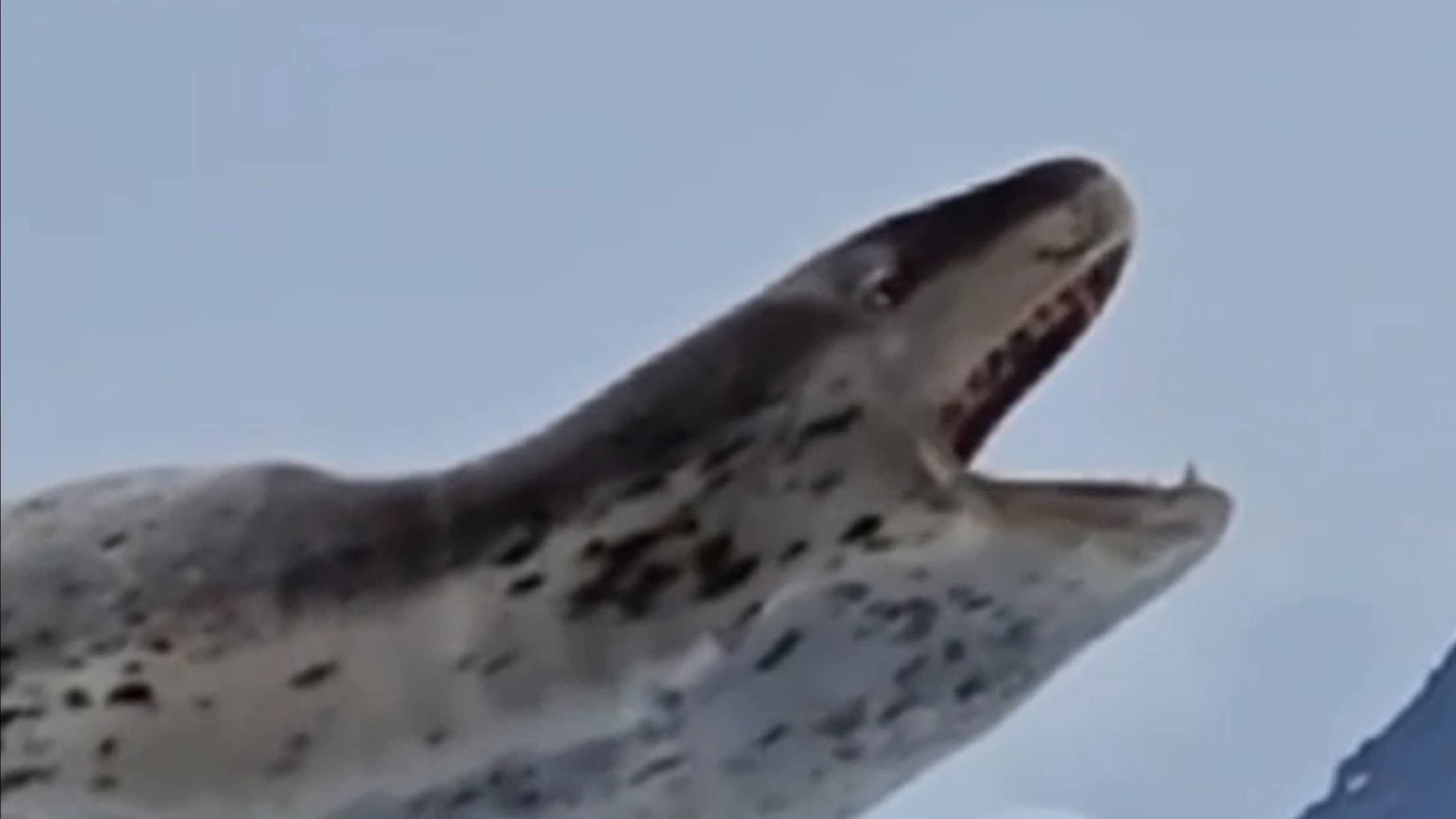 ТРУДНЕЕ ВСЕГО БОРОТЬСЯ С САМИМ СОБОЙ.