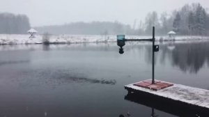 Автоматическая кормушка для водоема