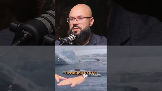 # Что общего у косатки и успешного предпринимателя?
