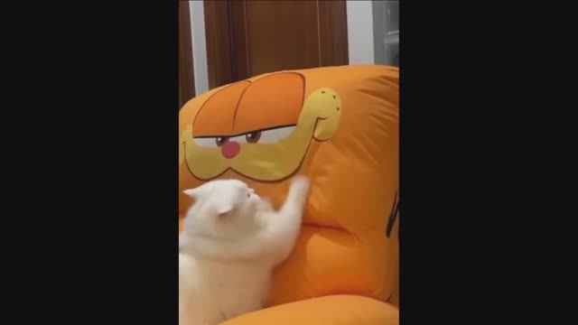 КОТЫ ПРОТИВ ДОМА: ЛАПКИ В ДЕЛЕ — САМЫЕ ЗАБАВНЫЕ МОМЕНТЫ РАЗГРОМА! 🐱🪚💥