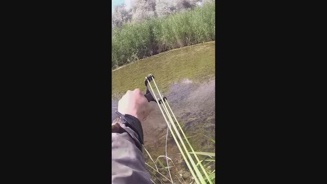 Рыбалка с Рогаткой:#рыбалканарогатку#fishing#2024#slingshot #top #рыба#рекомендации