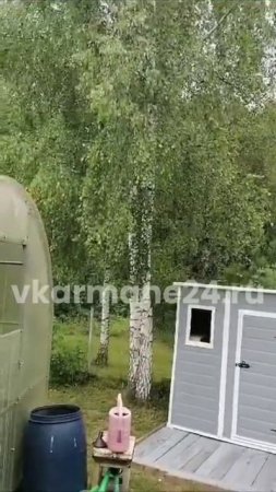 Сарай