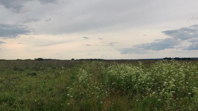 VID_20230722_171747