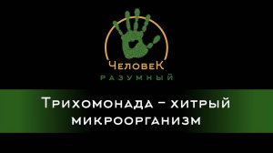 Трихомонада - хитрый микроорганизм ("Человек-разумный", 2016)