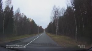 с. Горки - п. Северный. Октябрь 2024 (Варнавинский район)