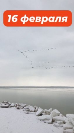 Что творится на берегу Азовского моря. Ейск.