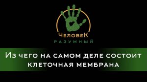 Из чего на самом деле состоит клеточная мембрана ("Человек-Разумный", 2016)
