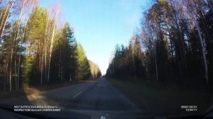 п. Северный - д. Зверниха. Октябрь 2024 (#Варнавинский_район, #Нижегородская_область)