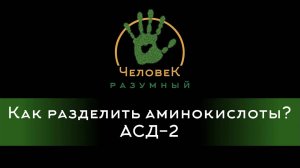 Как разделить аминокислоты? АСД-2 ("Человек-Разумный", 2016)