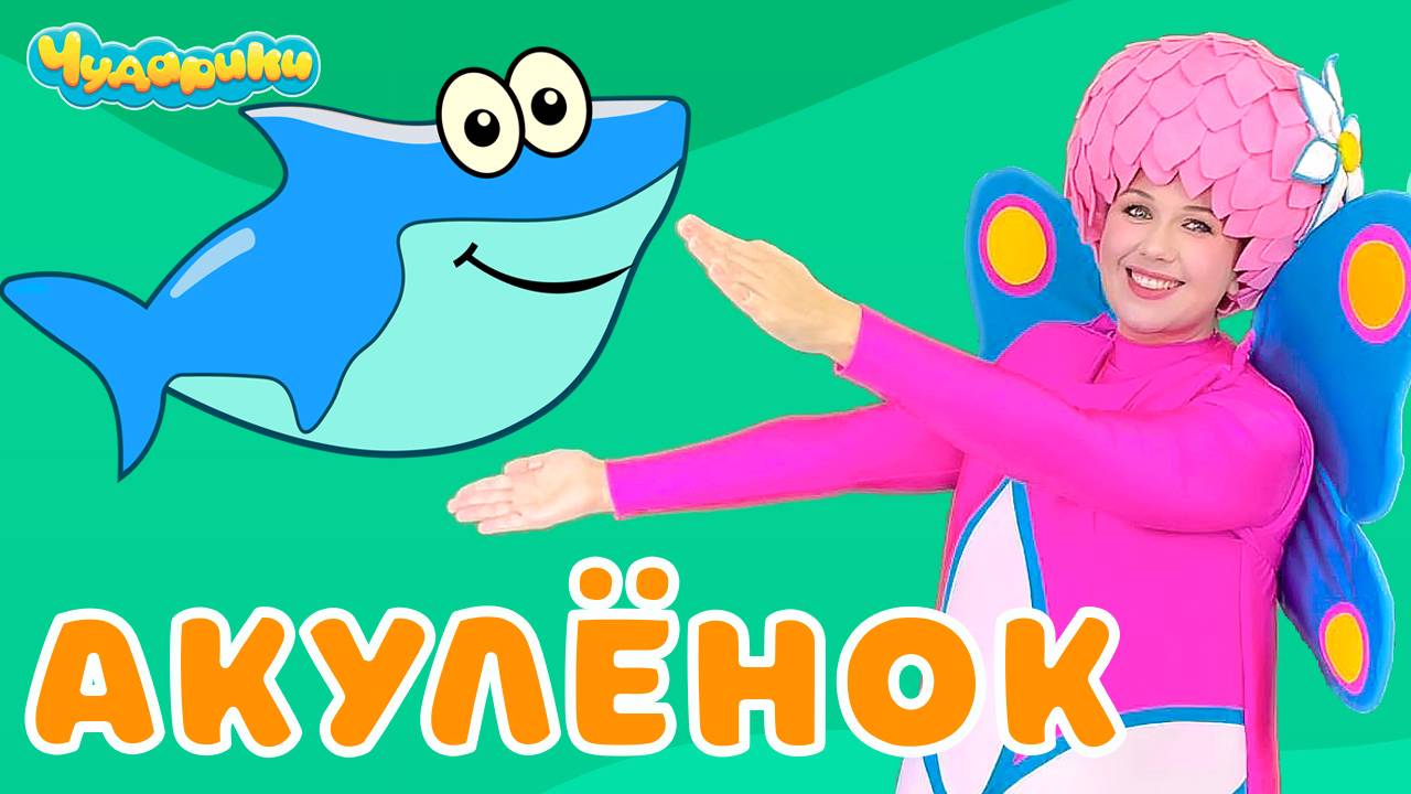 Акулёнок туруру - Чударики - Детская песенка мультик - Танец - Беби Шарк ( Baby Shark )