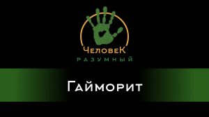 Гайморит (Скудов Алексей Юрьевич, 2018)