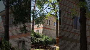 Обрезка ветки дерева над крышей дома в Саратове пециалистом/арбористом