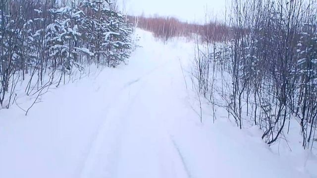 Охота, прогулка